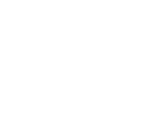 Inside Ownership Index